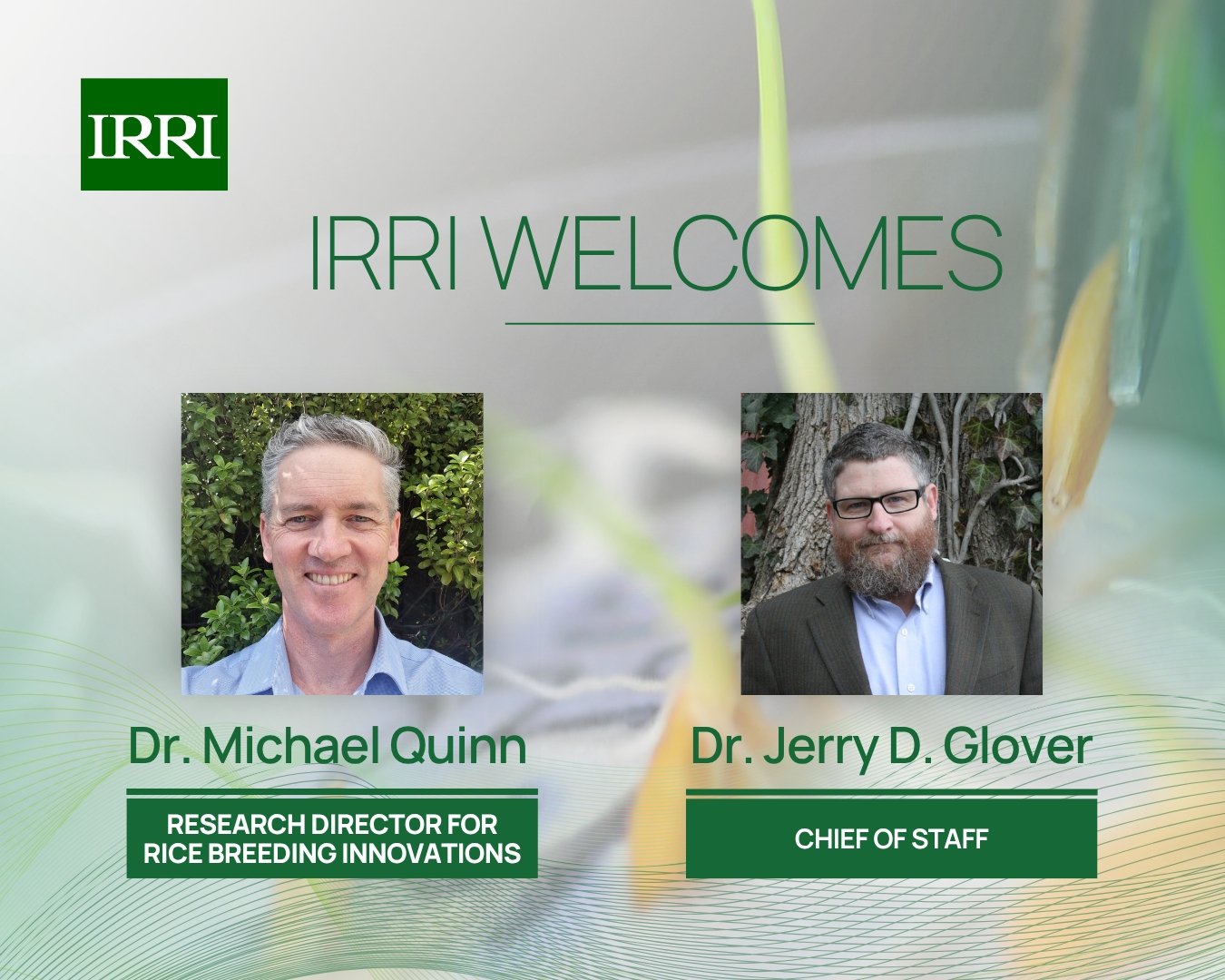 IRRI’s new strategic appointments to advance integrated research and global impact ...
